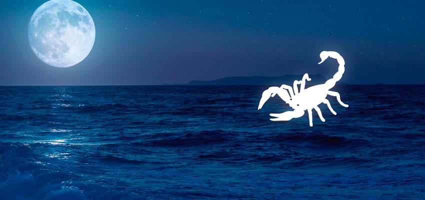 Lua em Escorpião: a influência da Lua no Signo Escorpião - WeMystic Brasil Lua em Escorpião: a influência da Lua no Signo Escorpião - WeMystic Brasil