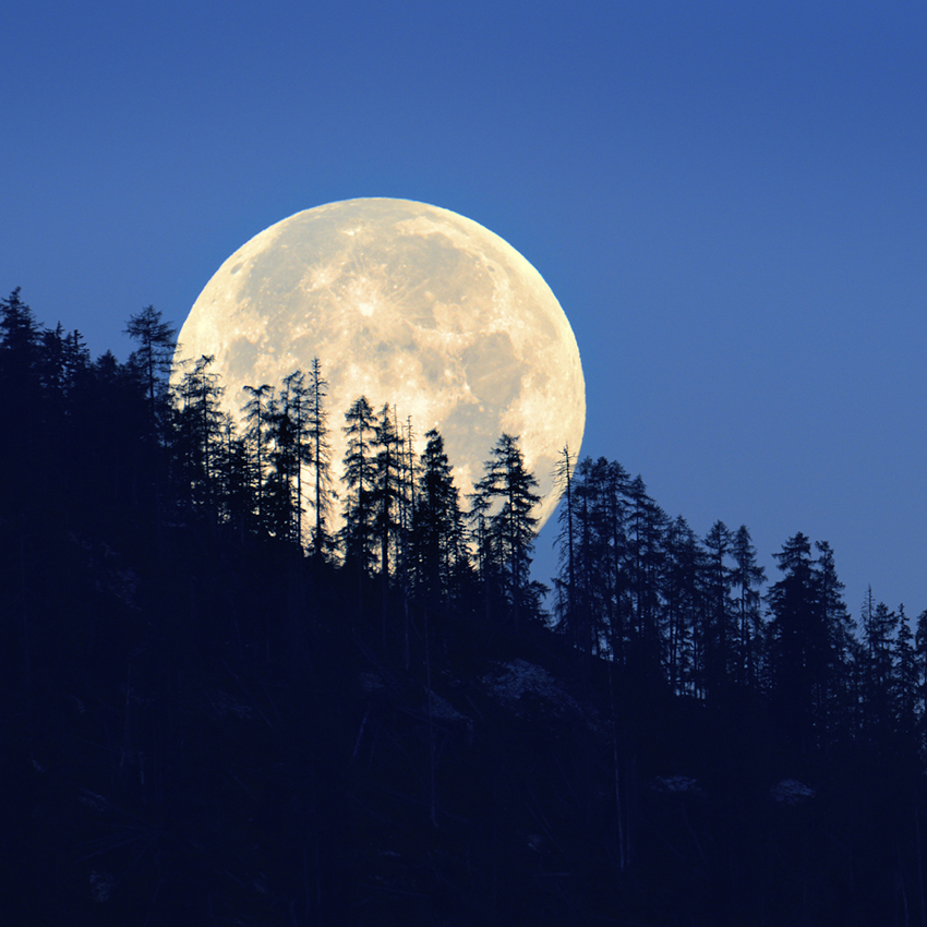 Lua Negra: fenômeno astronômico ou o sinal do fim dos tempos ...