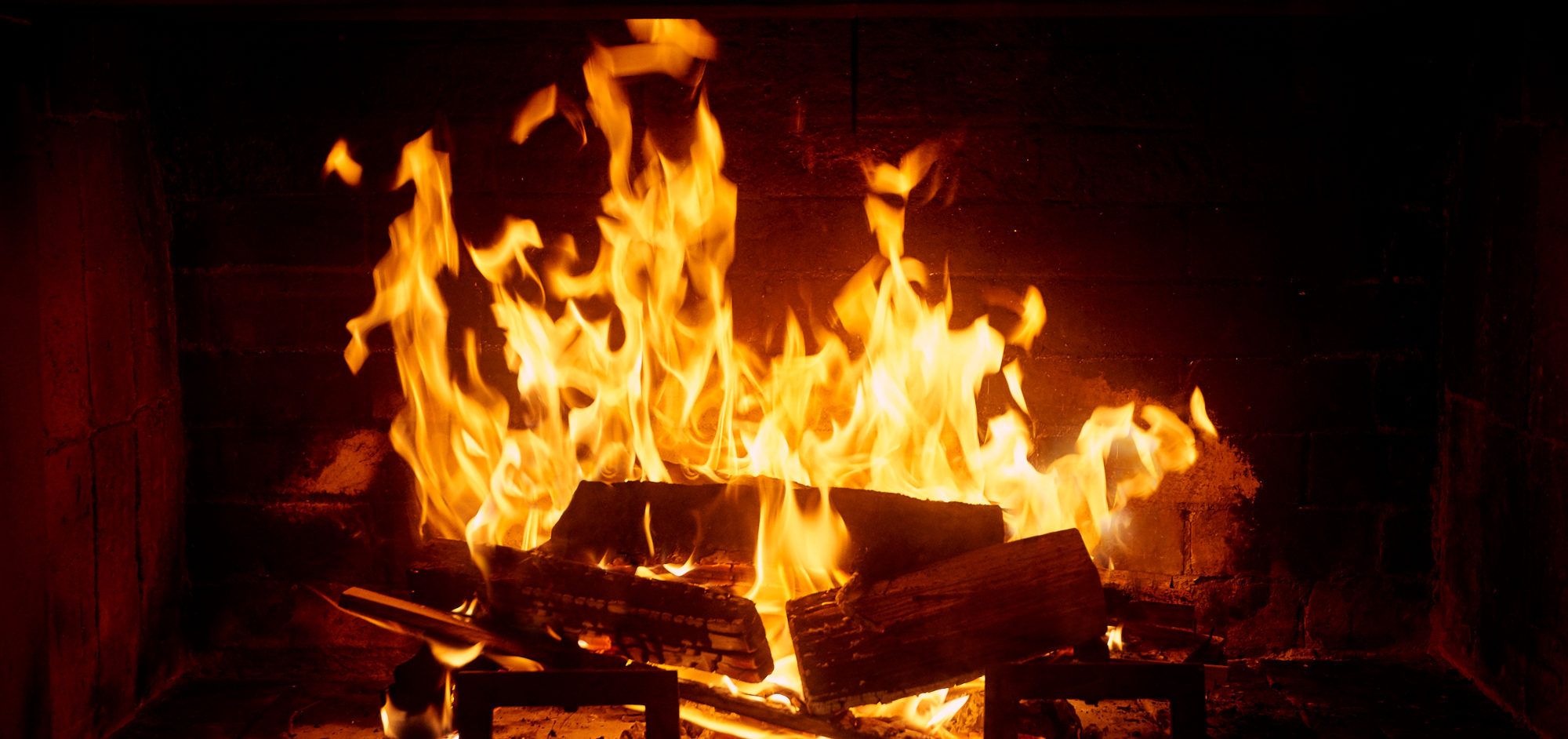 Signos de Fogo – saiba tudo sobre as características do seu elemento ...